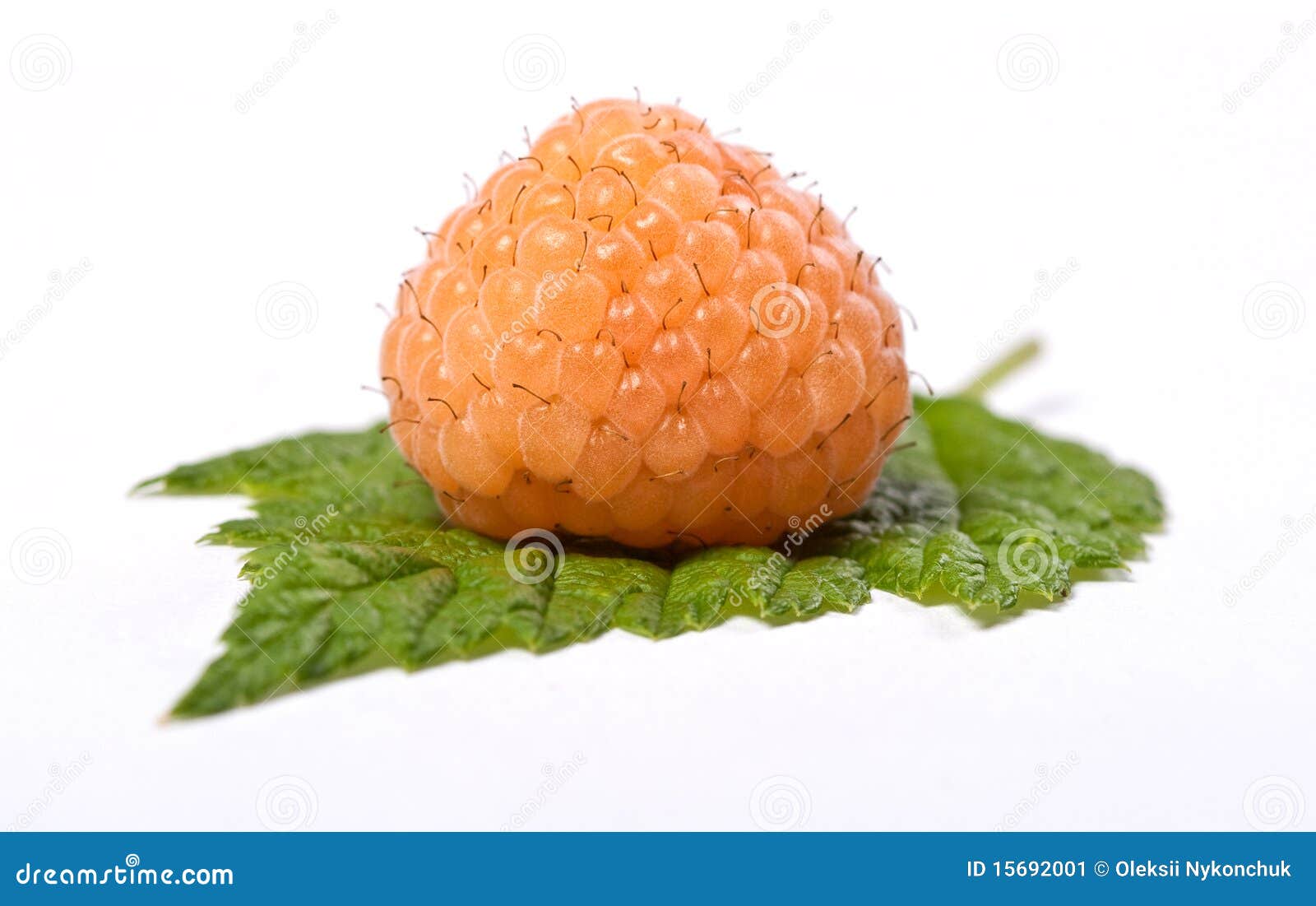 Yellow raspberry stock image. Image of lifestyle, isolated - 15692001
