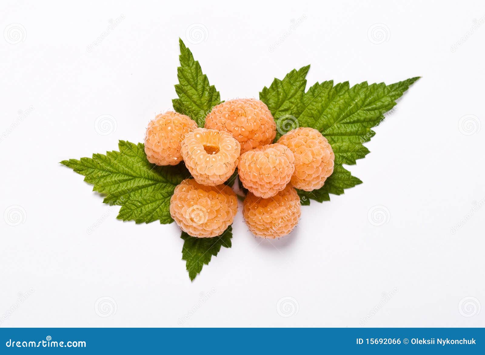 Yellow raspberry stock photo. Image of blue, background - 15692066