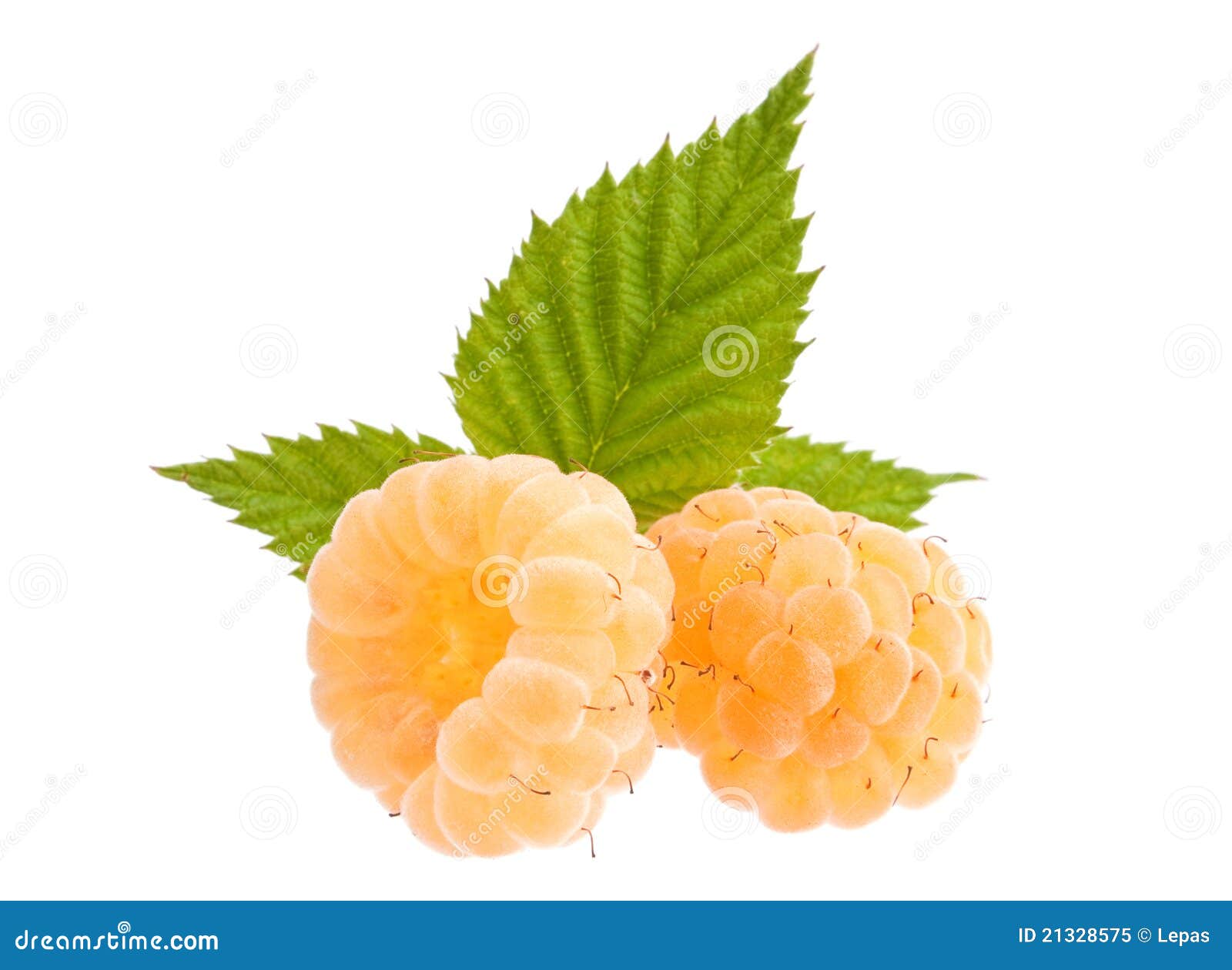 Yellow raspberry stock image. Image of berry, sweet, ripe - 21328575