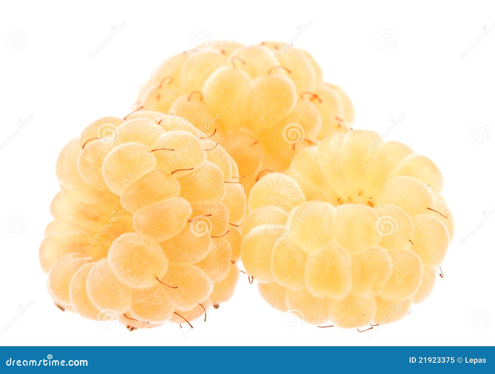 Yellow raspberry stock image. Image of sweet, fruit, berry - 21923375