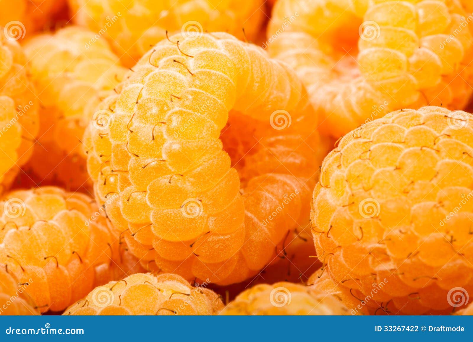 Yellow raspberry stock photo. Image of juicy, sweet, diet - 33267422