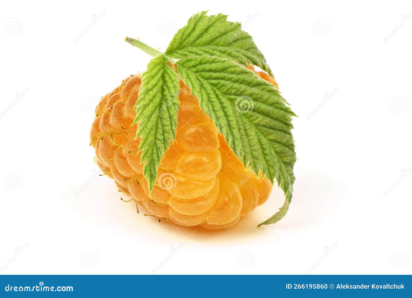 Yellow Raspberry Fruit with Leaves Stock Photo - Image of ingredient ...
