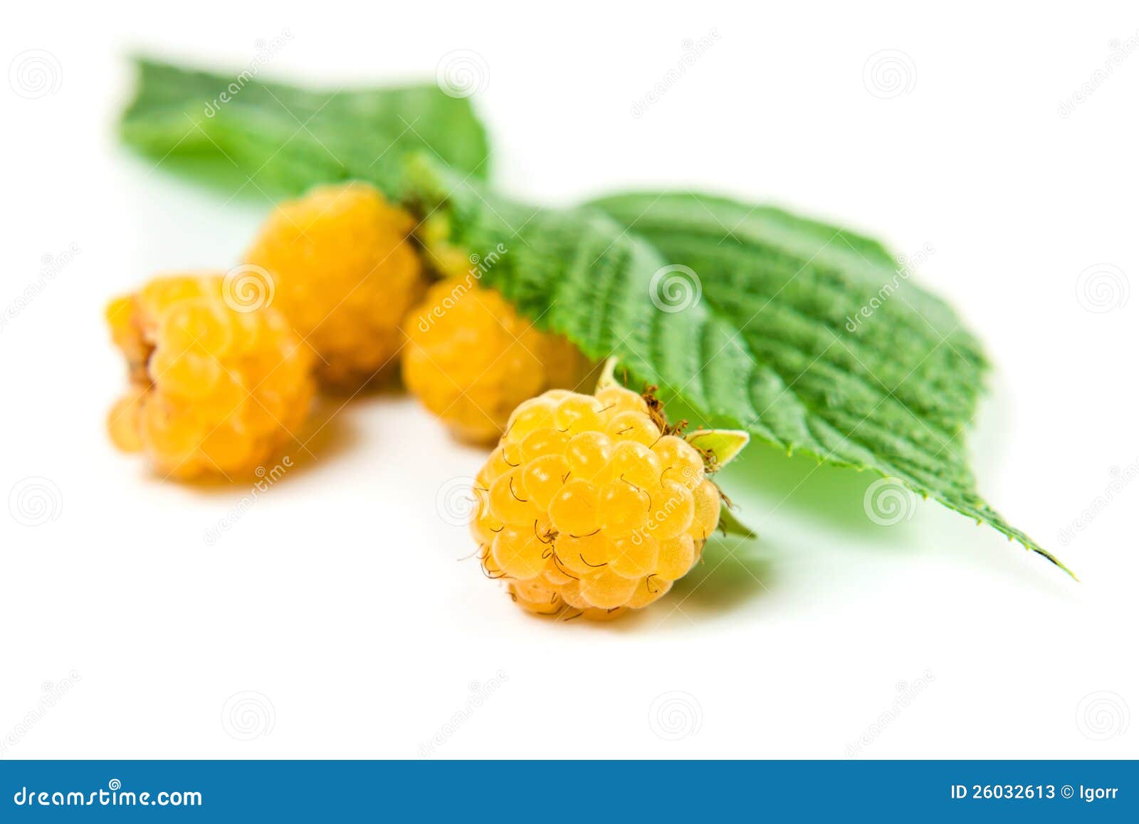 Yellow Raspberry on a White Background Stock Image - Image of organic ...