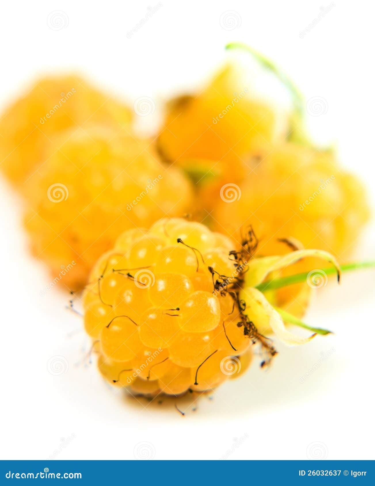 Yellow Raspberry on a White Background Stock Image - Image of organic ...