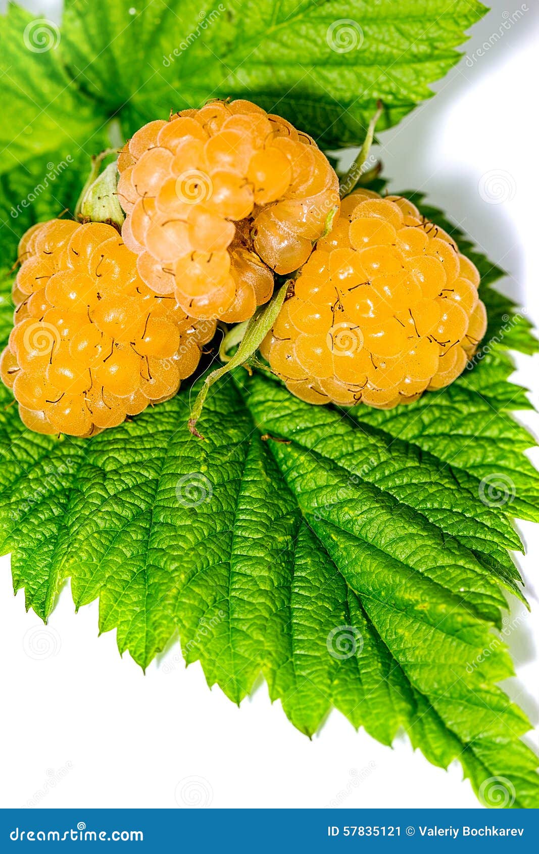 Yellow Raspberry on a White Background Stock Image - Image of natural ...