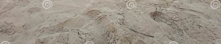 Yellow Real Sand Page Header Banner Background Stock Photo - Image of ...