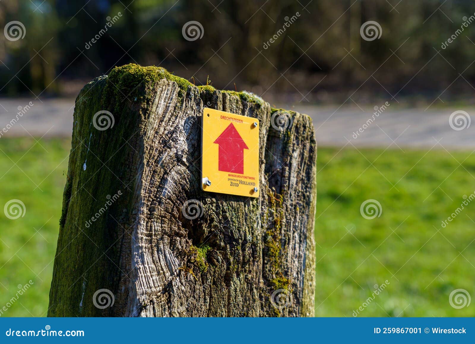 Yellow Rectangular-shaped Sign with a Red Arrow Pointing Up Stock Image ...