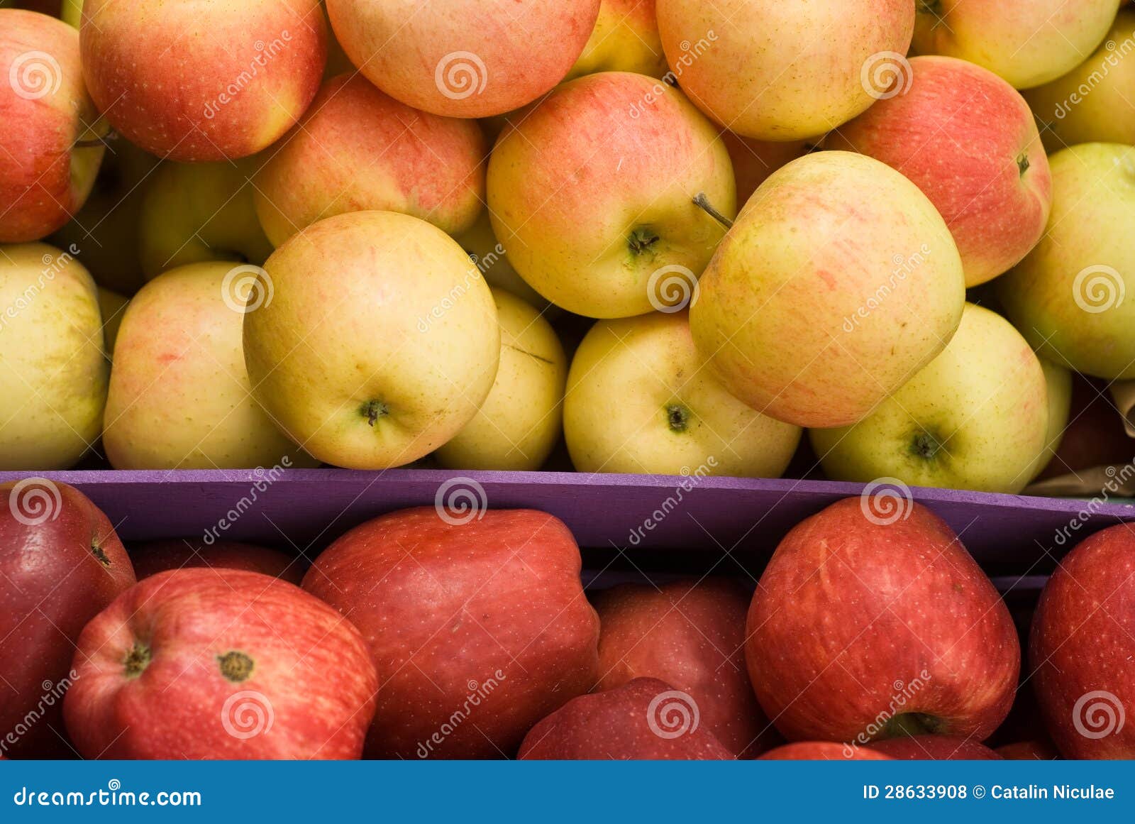 Yellow and red apples stock photo. Image of full, onion - 28633908