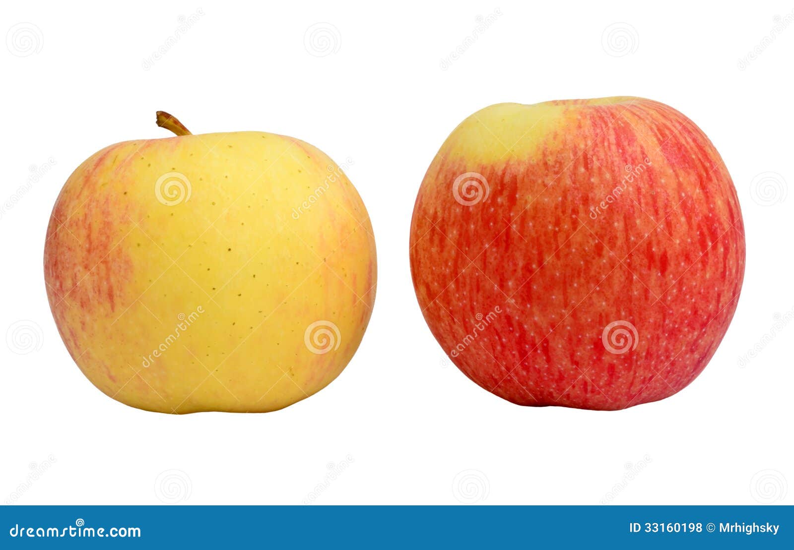 Yellow and Red Apples stock photo. Image of ripened, juicy - 33160198