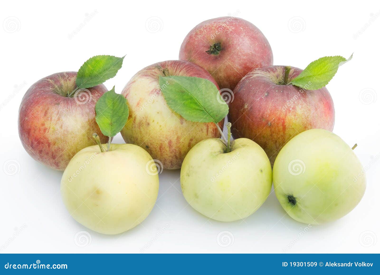 Yellow and Red Apples Isolated Stock Image - Image of apples, grass ...