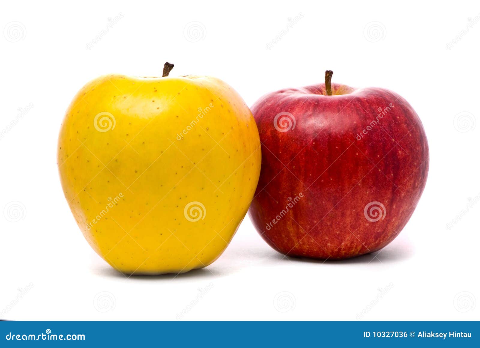 Yellow and Red Fresh Apples Stock Photo - Image of diet, sweet: 10327036