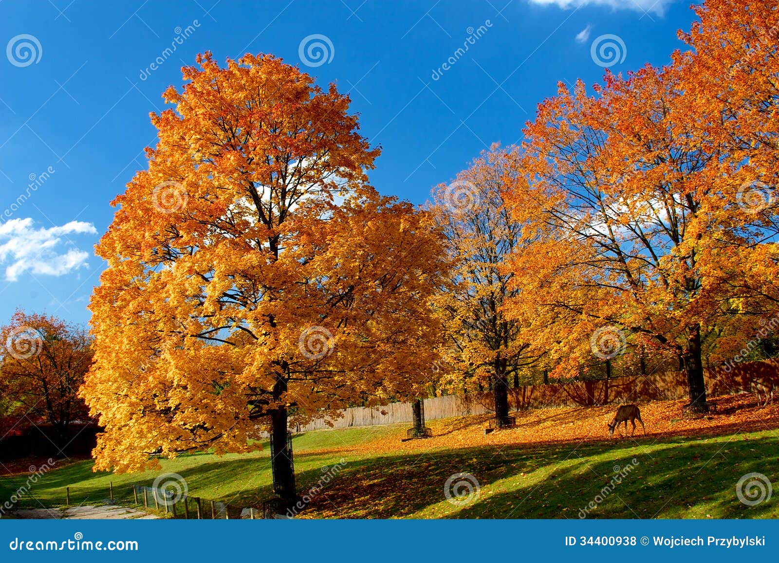 Autumn October Photo Lighthouse On The Seashore. Photo Image Royalty ...