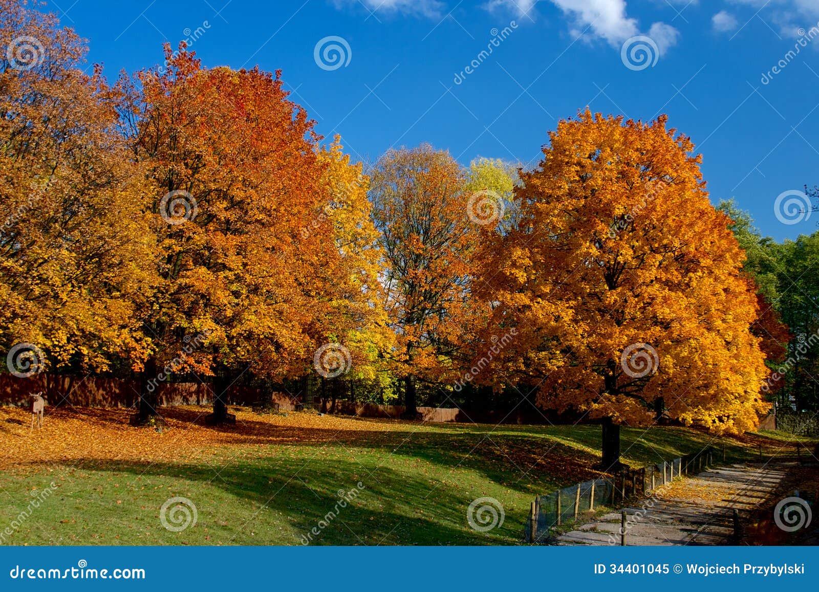 Autumn October Photo Lighthouse On The Seashore. Photo Image Royalty ...