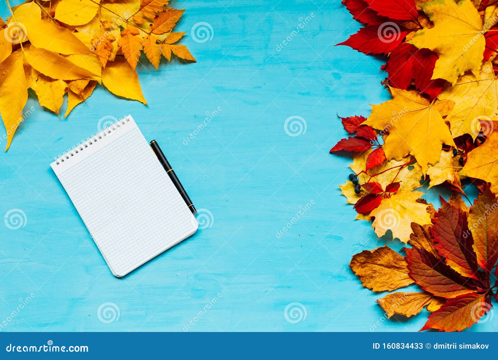 Yellow and Red Leaves Autumn Background Notepad Notes Postcard Stock ...