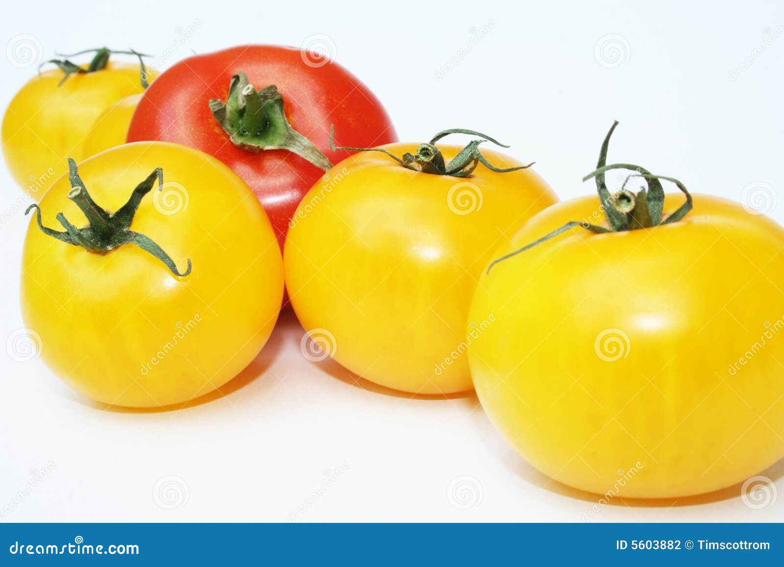 Yellow and Red Tomatoes stock photo. Image of grown, grocery - 5603882