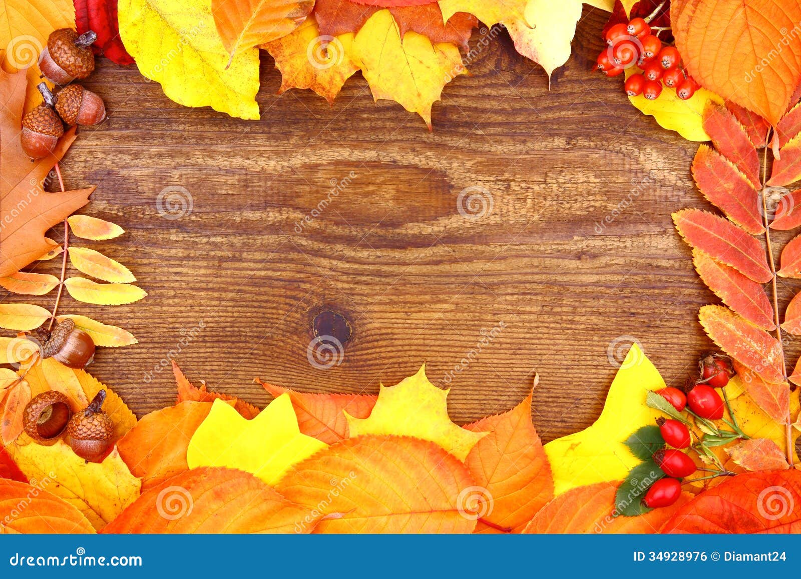 Yellow and Red Tree Leaves on Wood Background Stock Photo - Image of ...