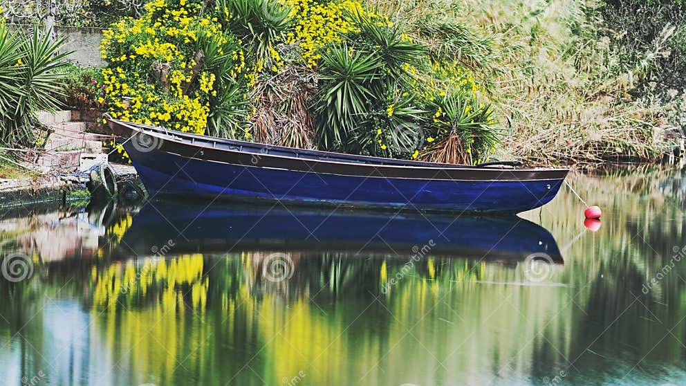 Yellow reflex in the river stock image. Image of sunlight - 258484405