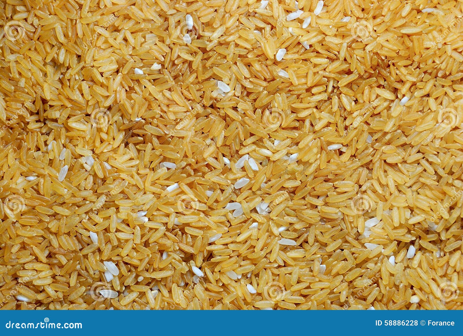 Yellow Rice, Background stock photo. Image of full, agriculture - 58886228