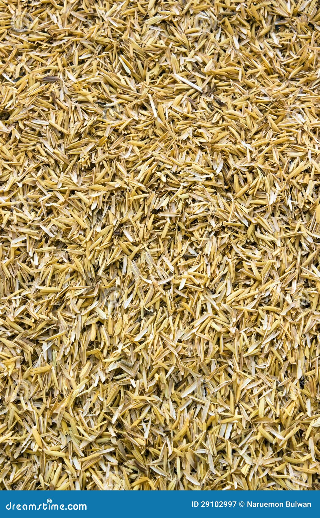 252 Rice Hull Stock Photos - Free & Royalty-Free Stock Photos from ...