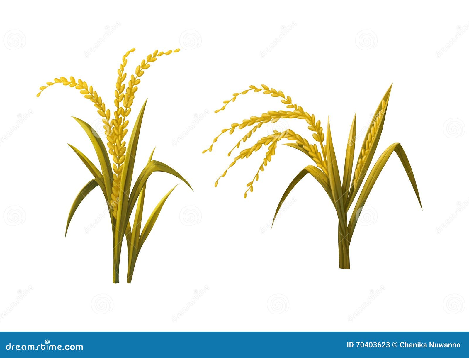 Yellow Rices object stock illustration. Illustration of nutrition ...
