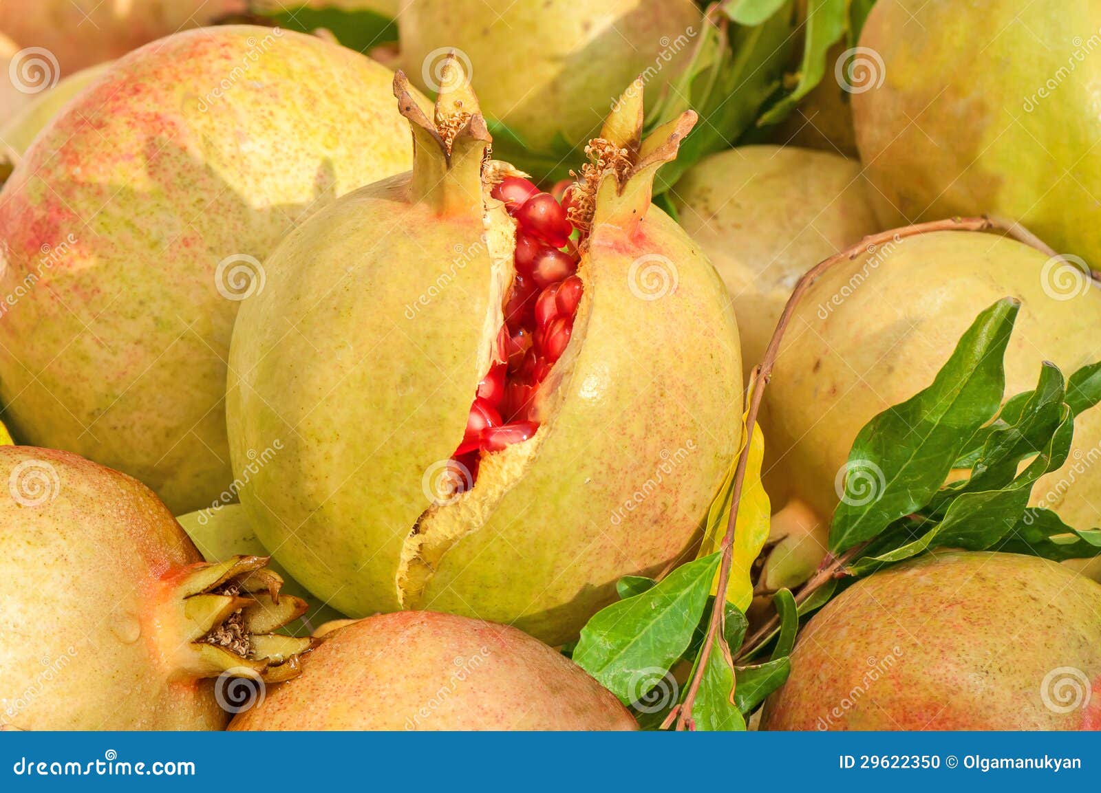 Yellow rind pomegranate stock photo. Image of yellow - 29622350