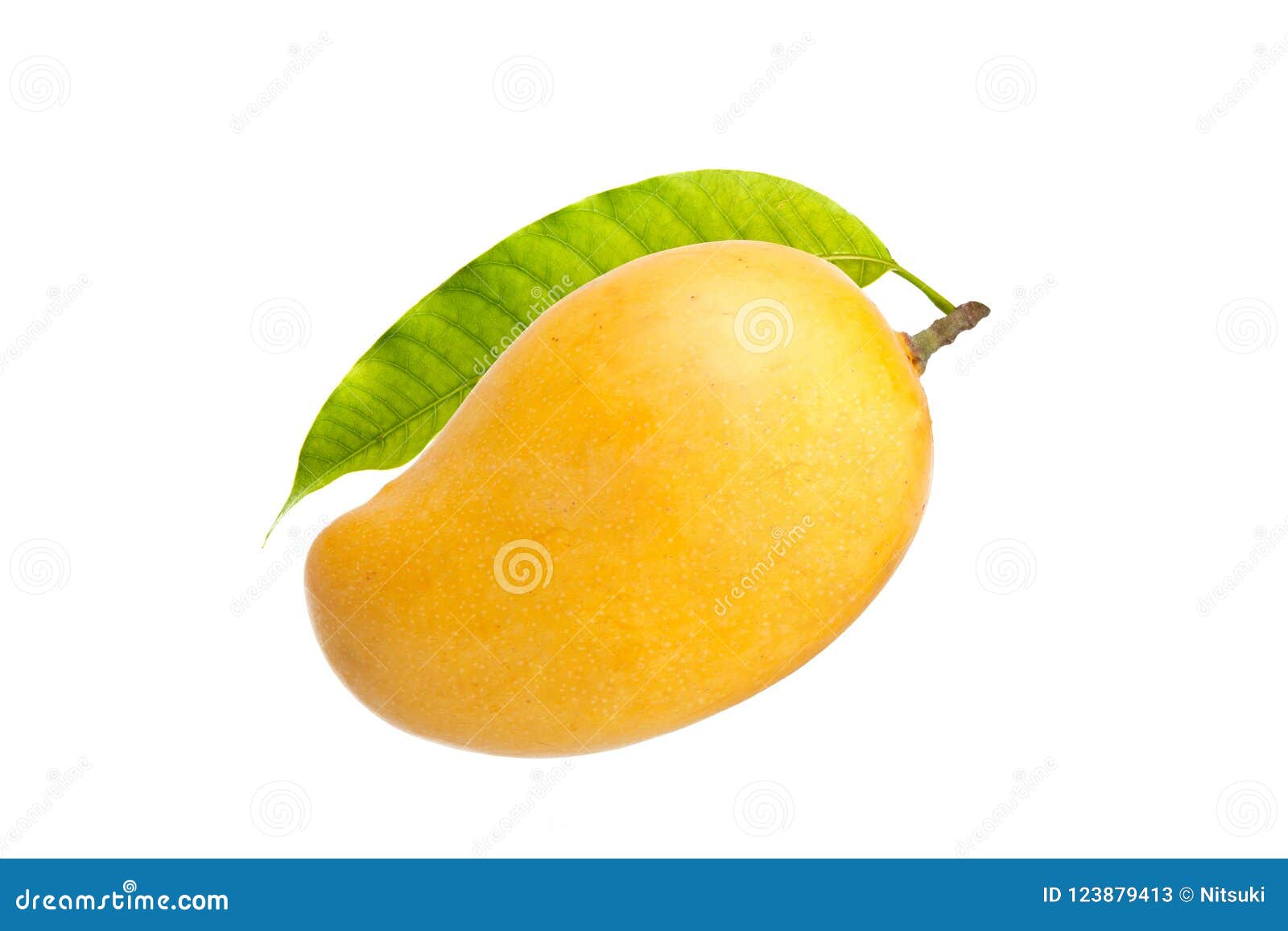 Organic Ripe Yellow Mango Tropical Fruit Stock Image - Image of thai ... Organic Ripe Yellow Mango Tropical Fruit Stock Image - Image of thai ...