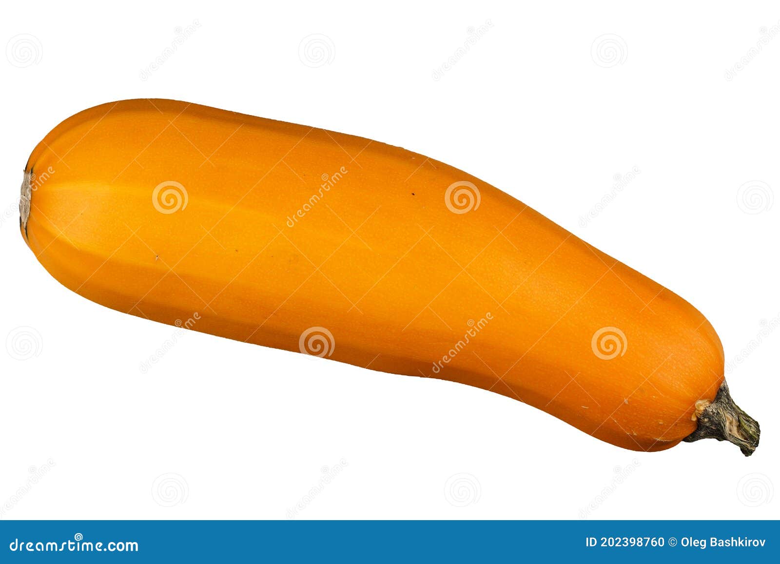 Yellow Ripe Vegetable Marrow Isolated on White Background Stock Photo ...