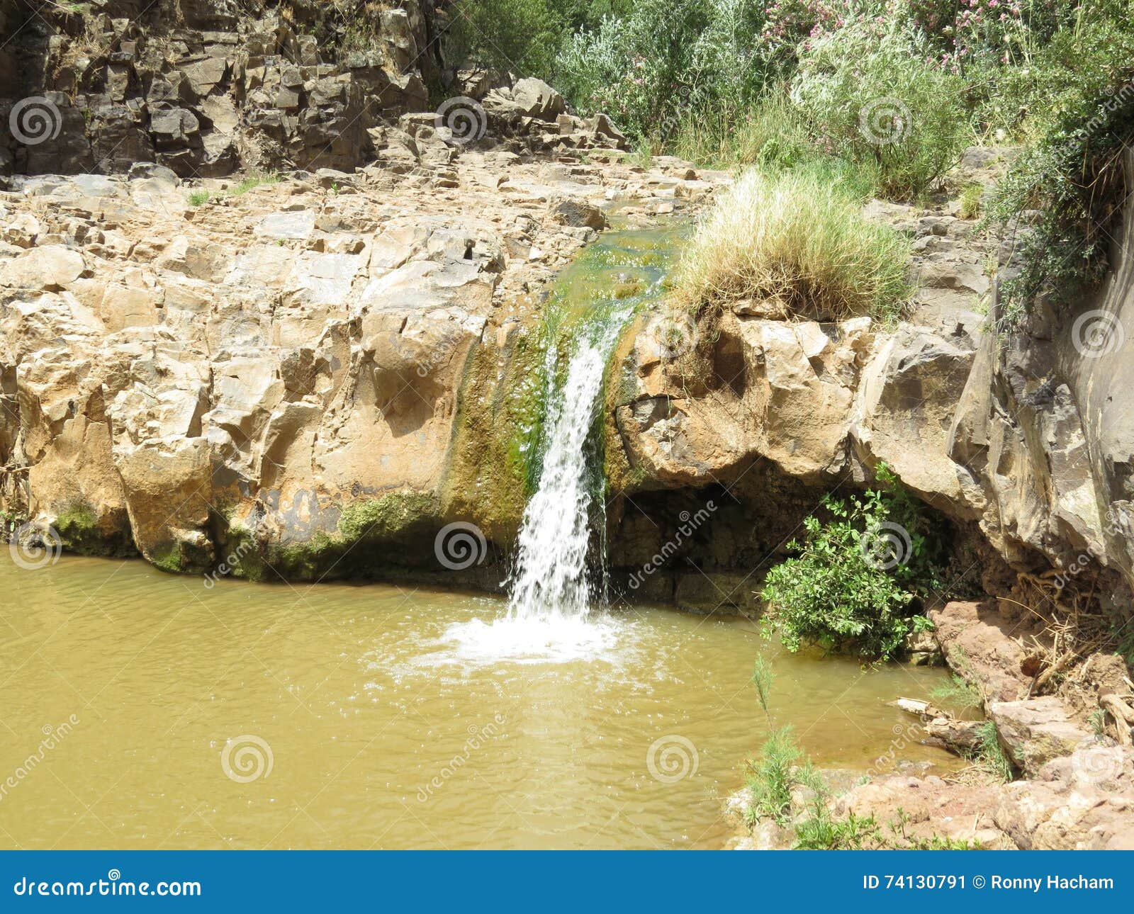 Yellow river stock image. Image of green, landscape, small - 74130791
