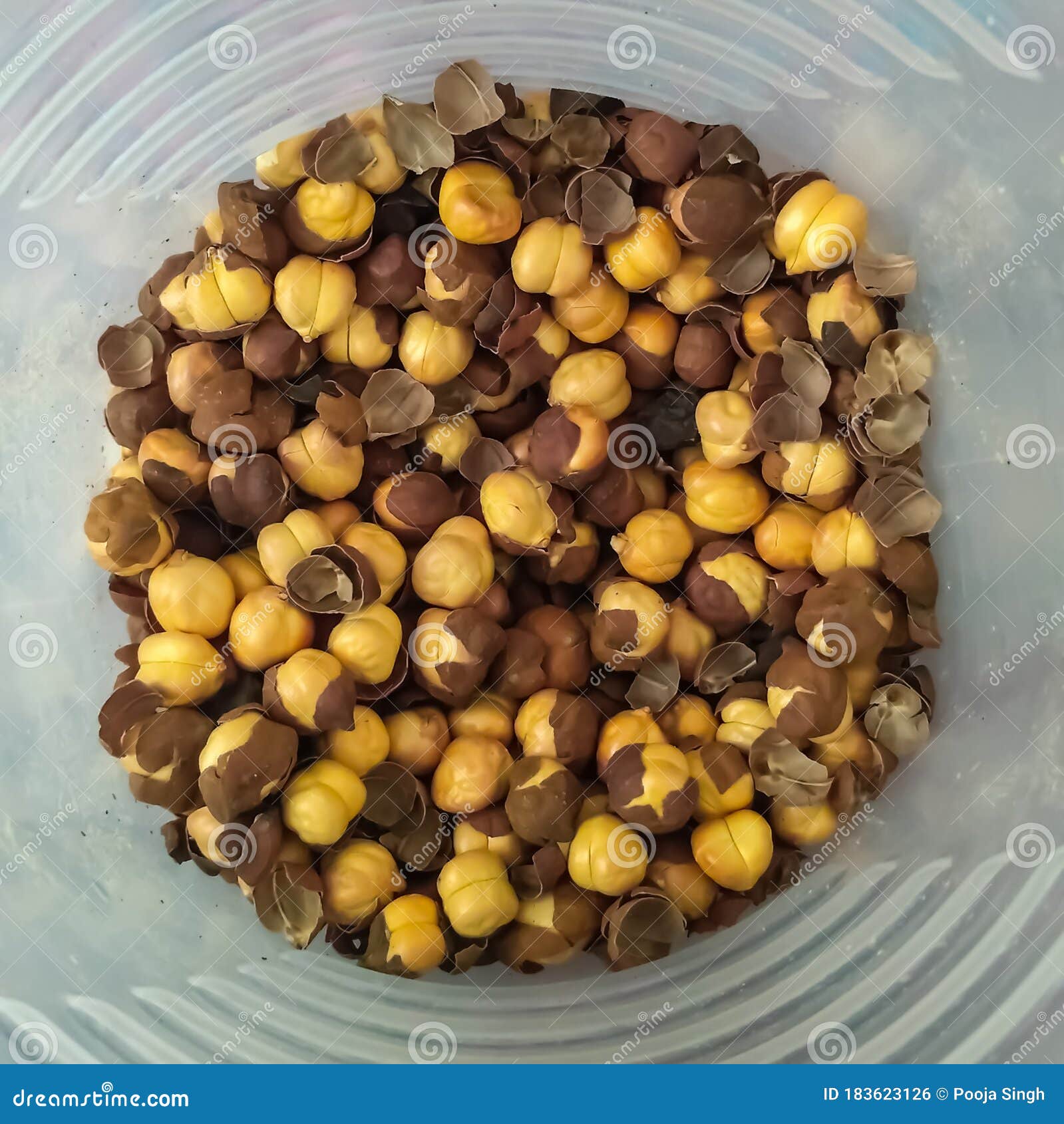 Yellow roasted gram stock photo. Image of gram, roasted - 183623126