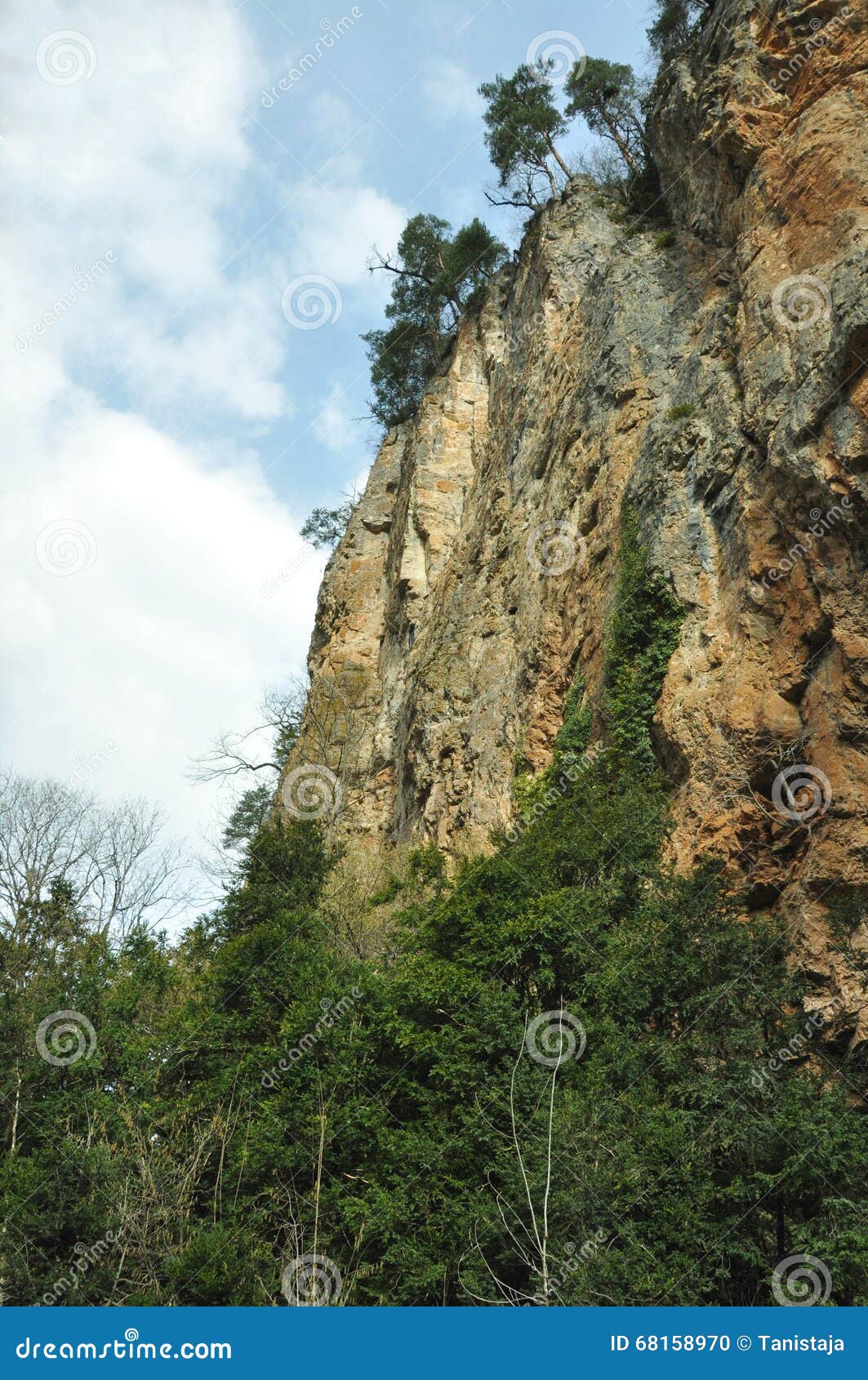 Yellow rock stock photo. Image of cliff, rock, covered - 68158970