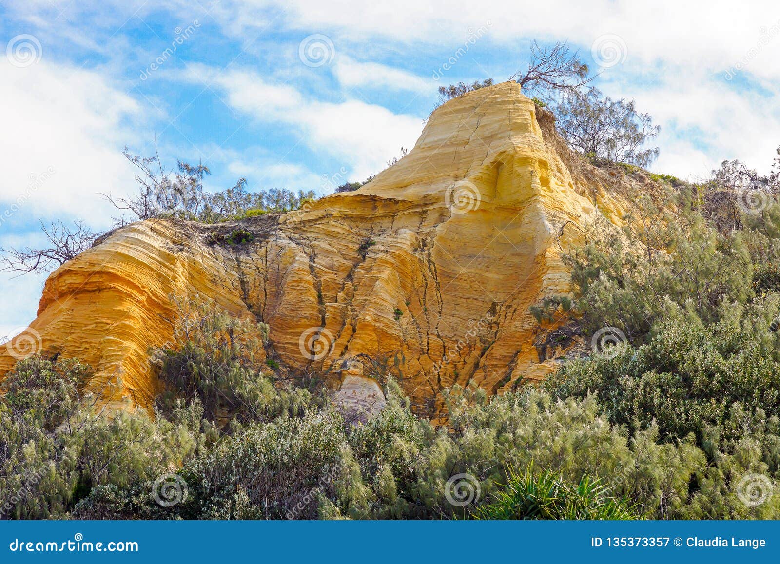 Yellow Rock Texture And Background Royalty-Free Stock Photography ...