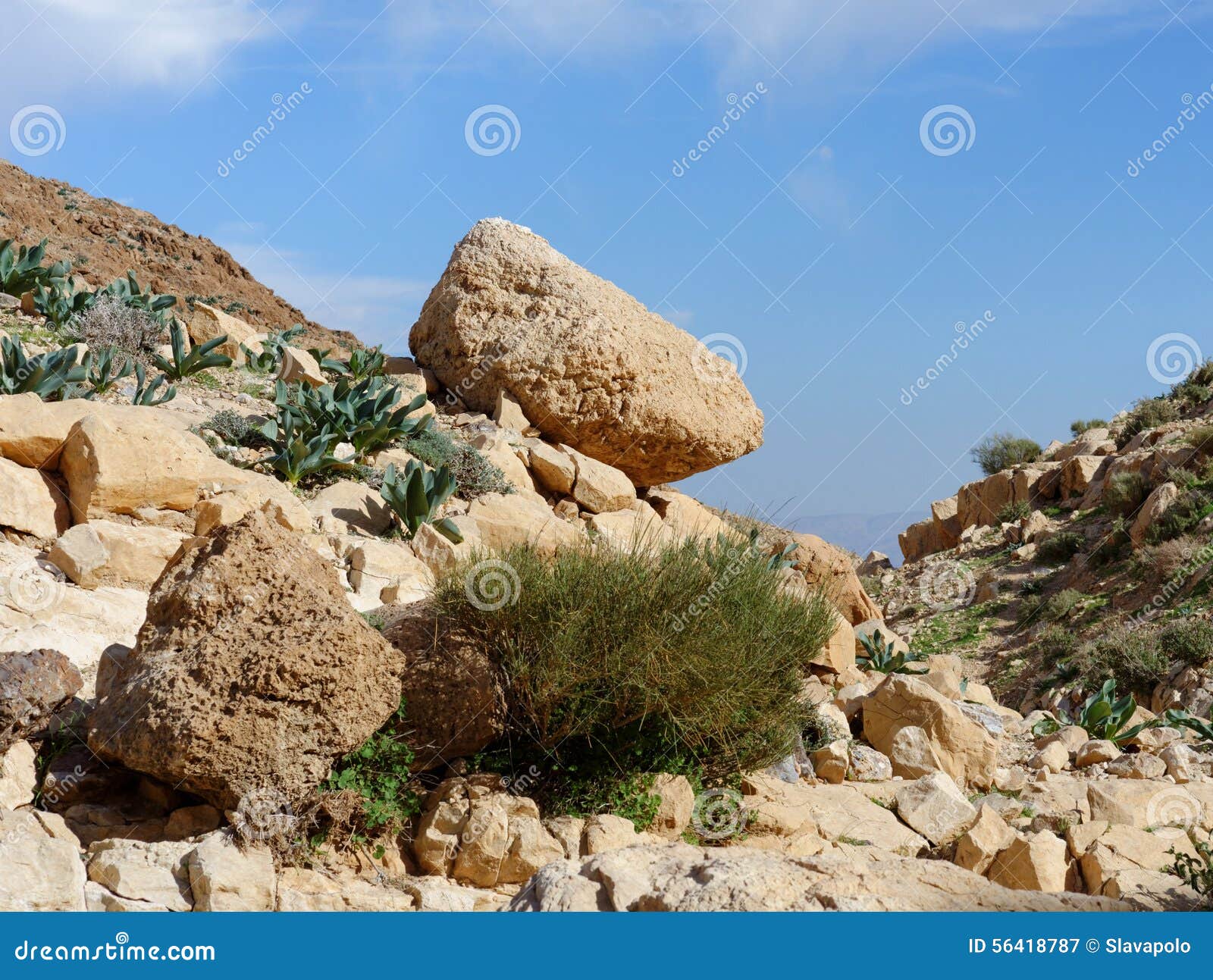 Hill Slope In A Rainforest And Forgotten Wooden Huts Royalty-Free Stock ...