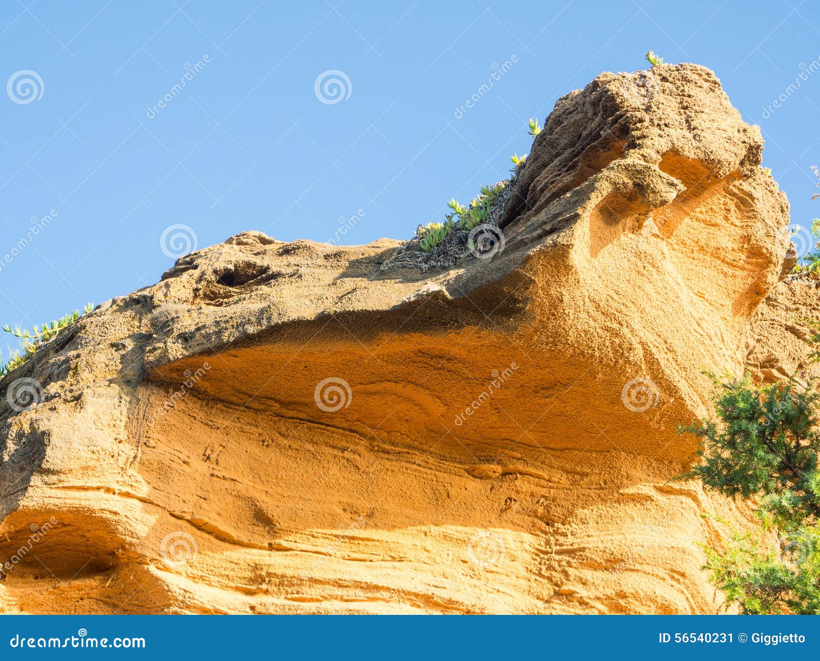 Yellow rock sediments stock image. Image of prehistorical - 56540231
