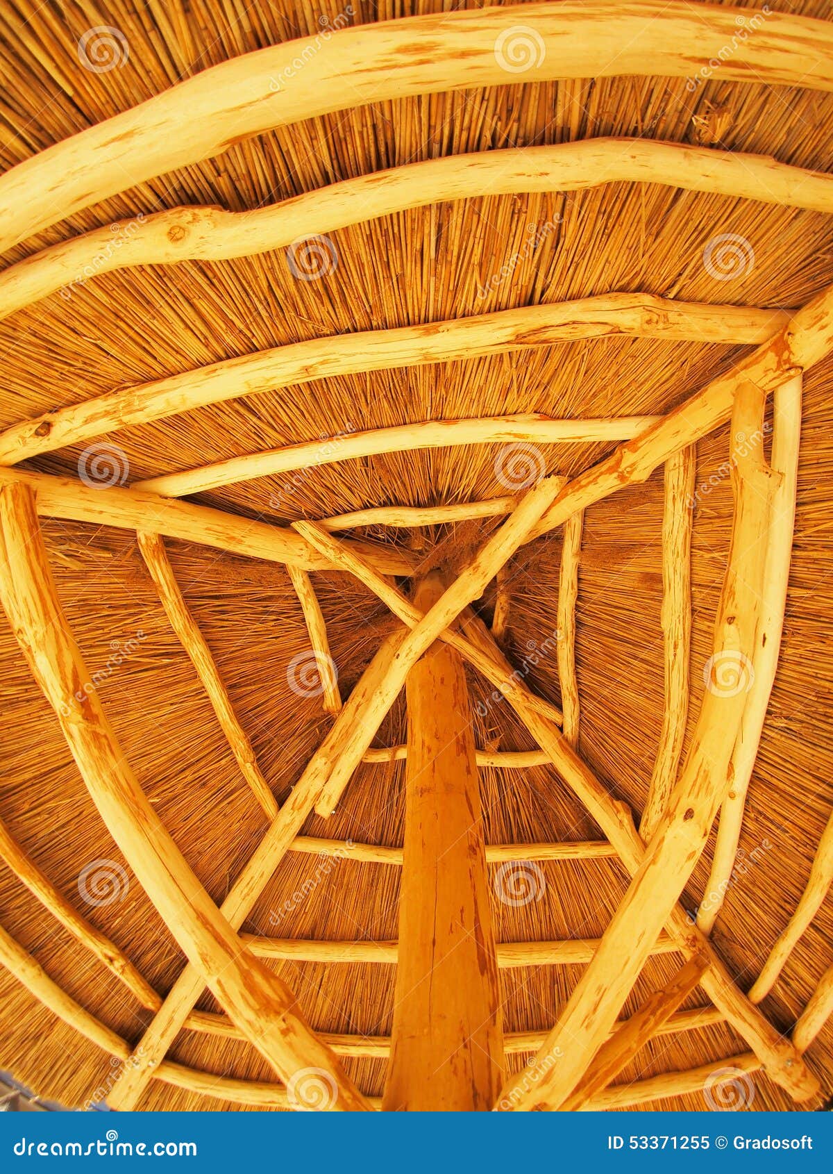 Yellow Roof is Made of Cane Stock Image - Image of yellow, natural ...