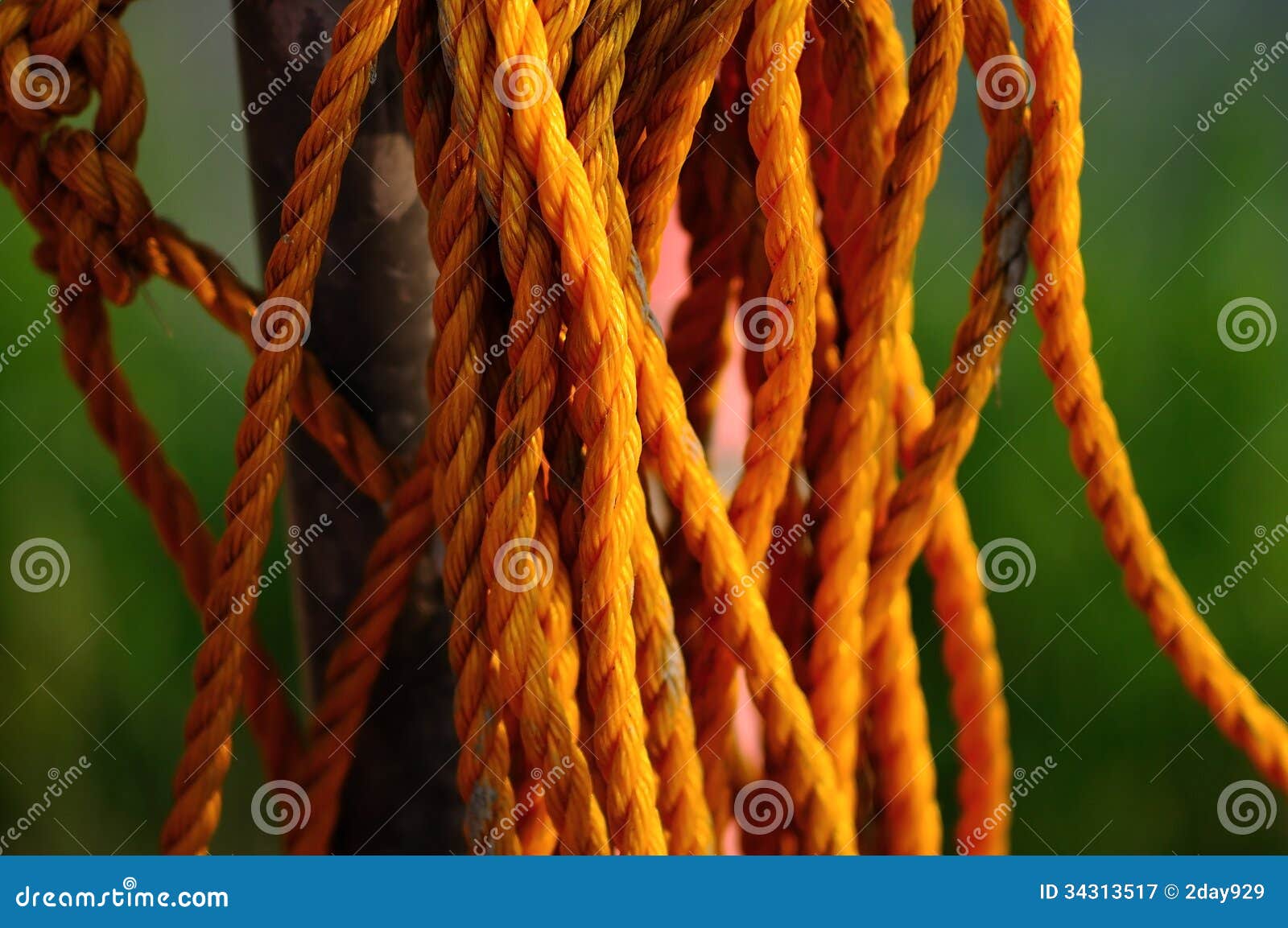 Yellow rope stock image. Image of nylon, rope, yellow - 34313517