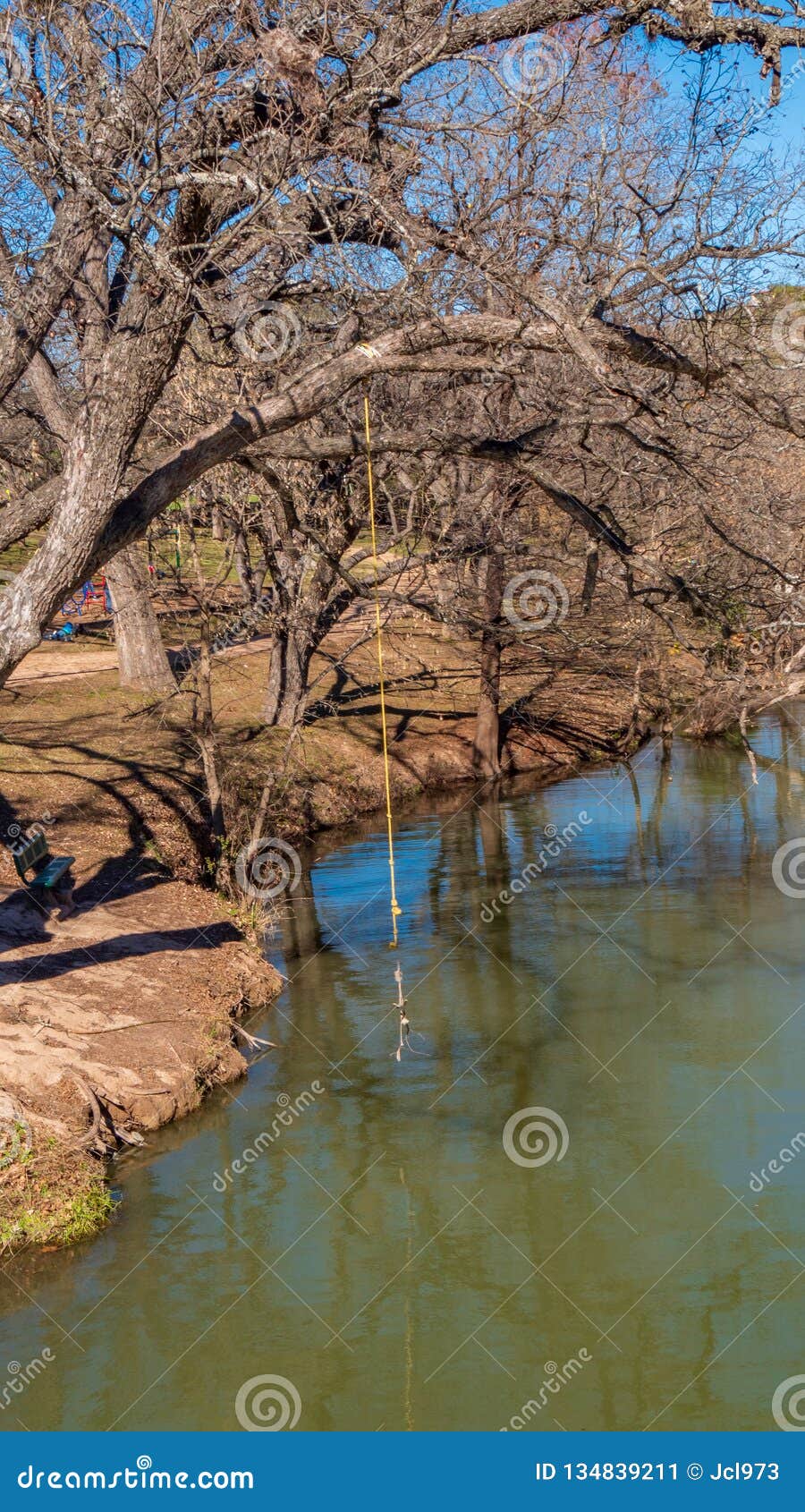 Yellow Rope Swing on a Tree Growing Over the Water on a River Stock ...
