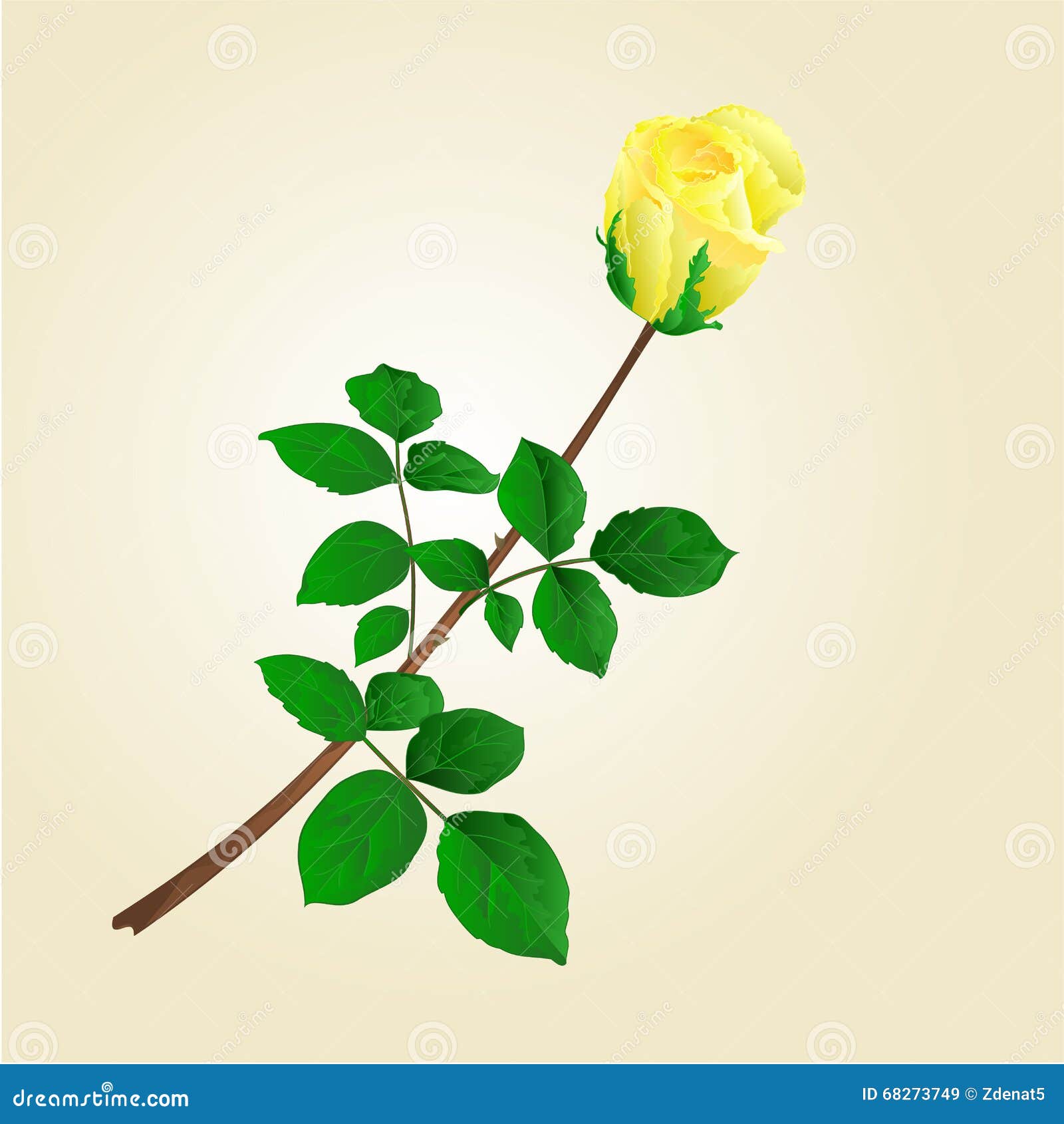 Yellow Rose Bud with Leaves Vector Stock Vector - Illustration of ...