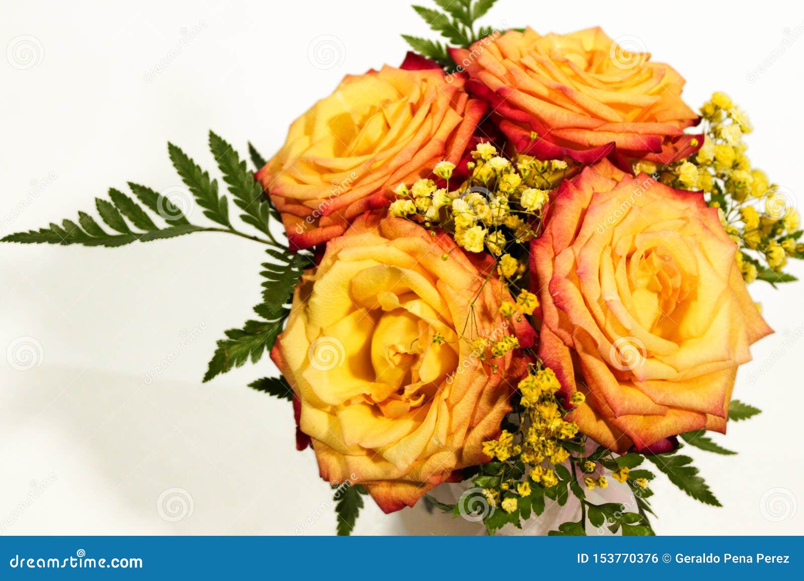 Yellow Rose Flowers Arrangement Isolated on White Stock Photo - Image ...