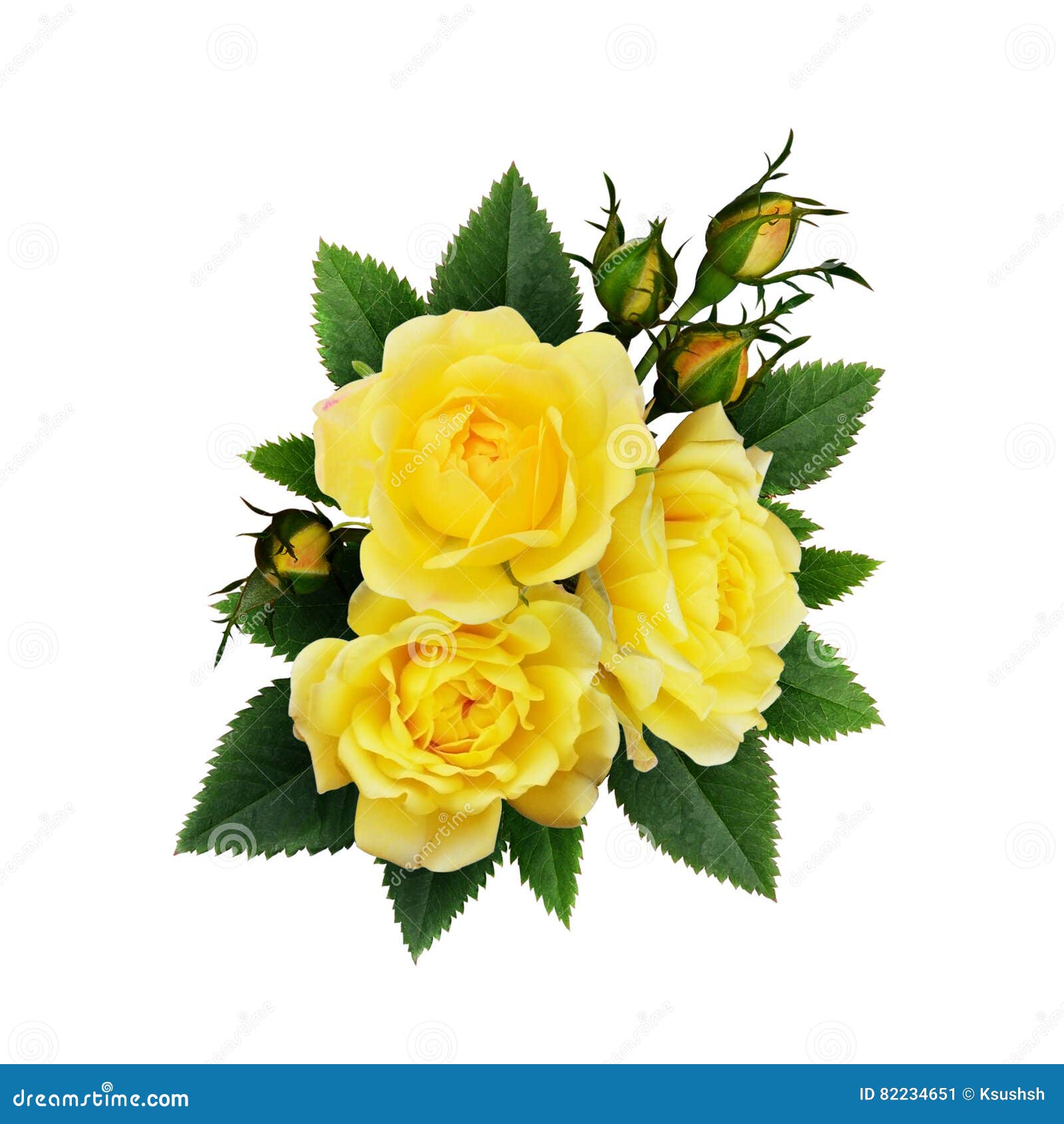 Yellow Rose Flowers Arrangement Stock Image - Image of rose, beautiful ...