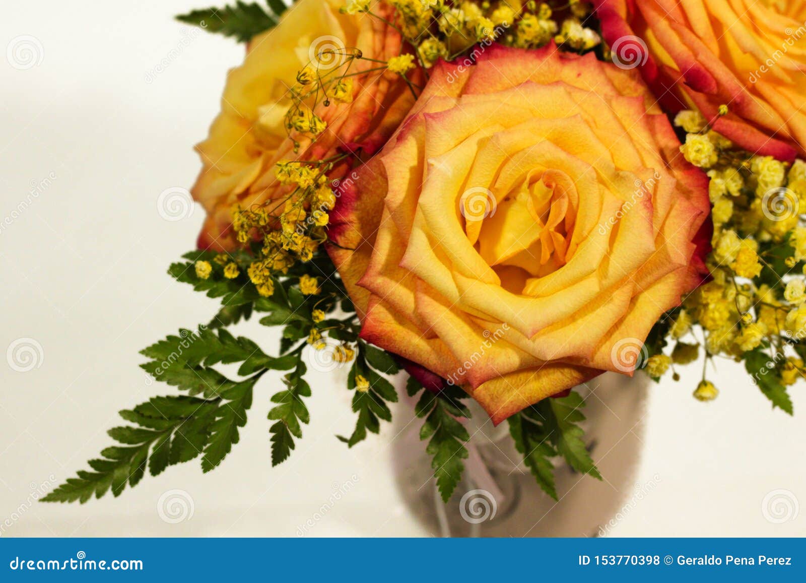 Yellow Rose Flowers Arrangement on White Stock Photo - Image of ...