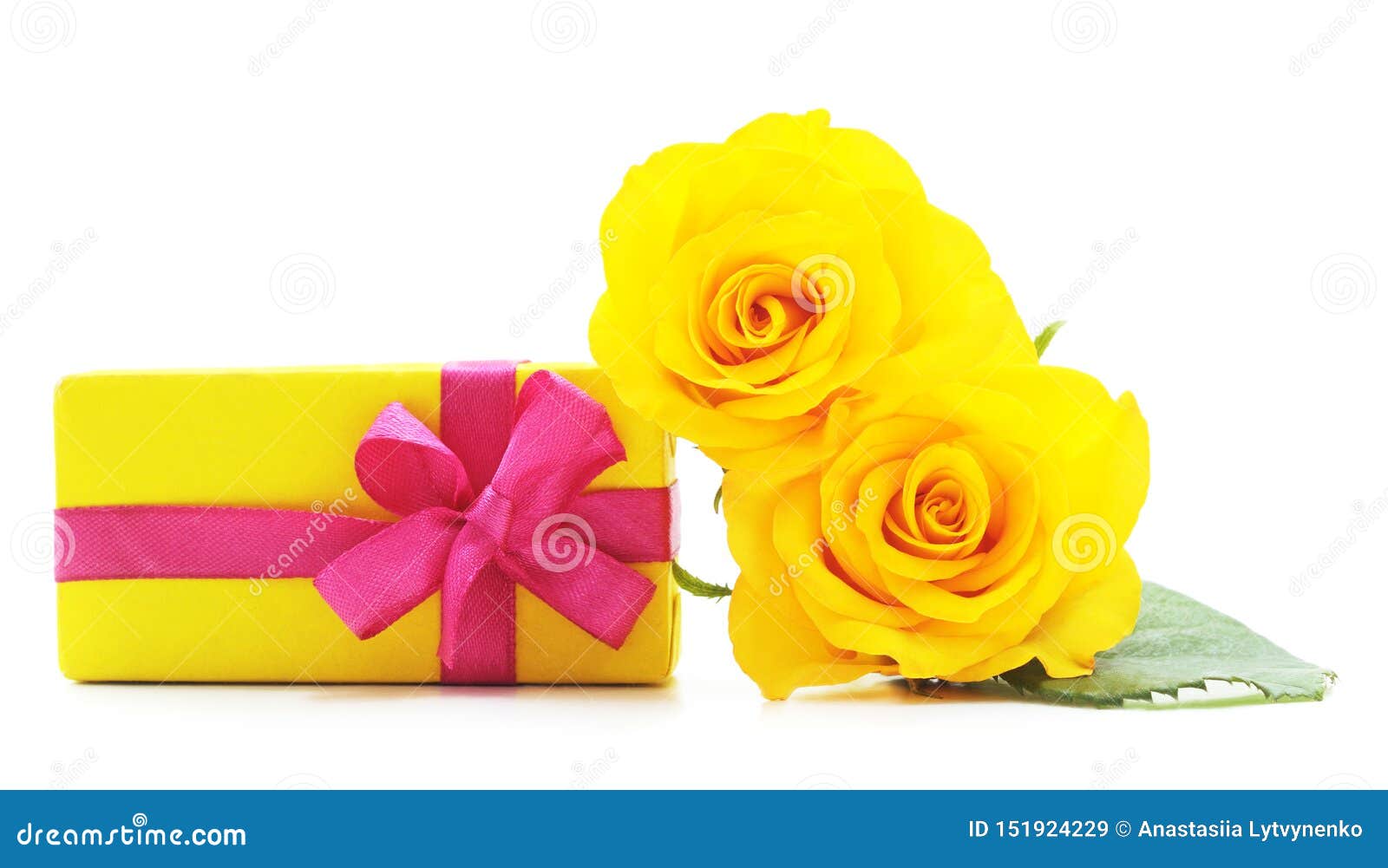 Yellow rose with a gift stock image. Image of love, flower - 151924229