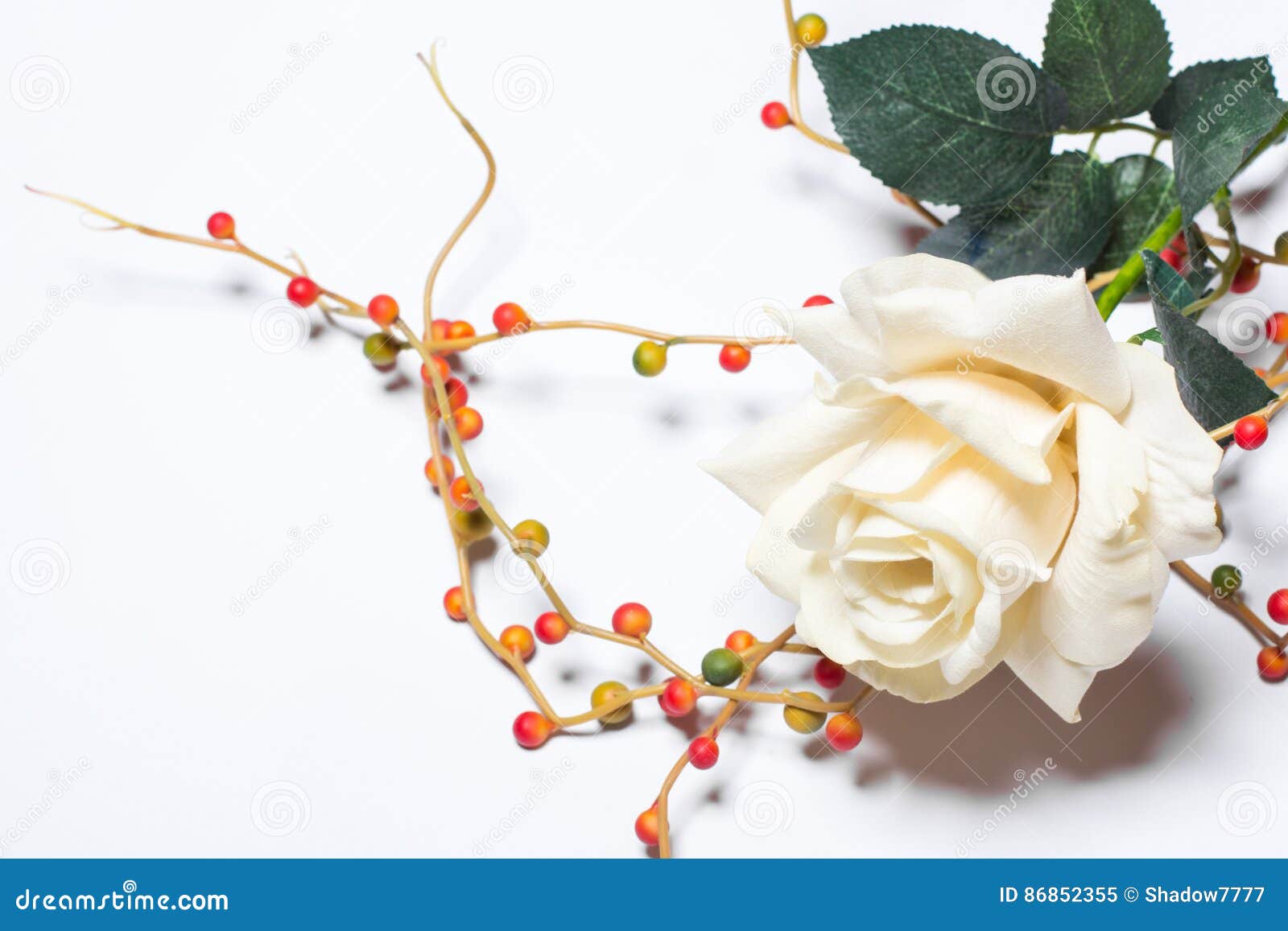 Yellow Rose on a Light Background Closeup Stock Image - Image of ...