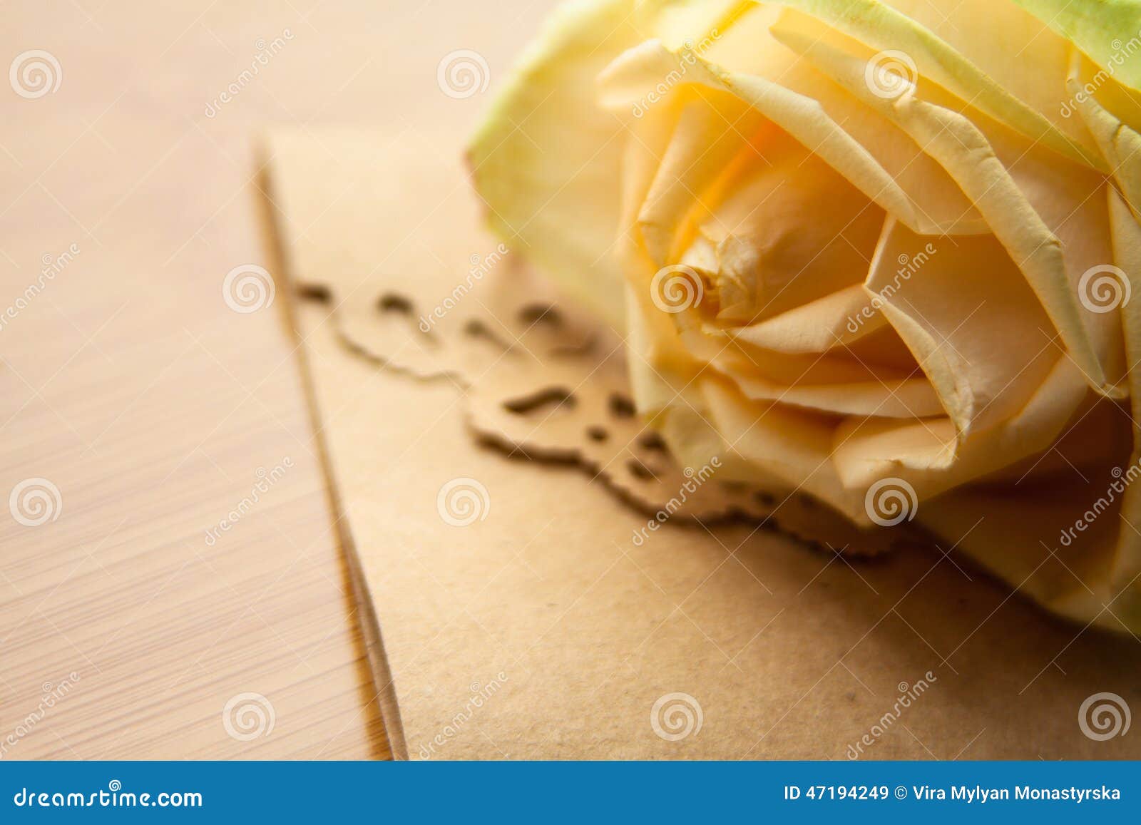 Yellow rose stock image. Image of frame, floral, brown - 47194249