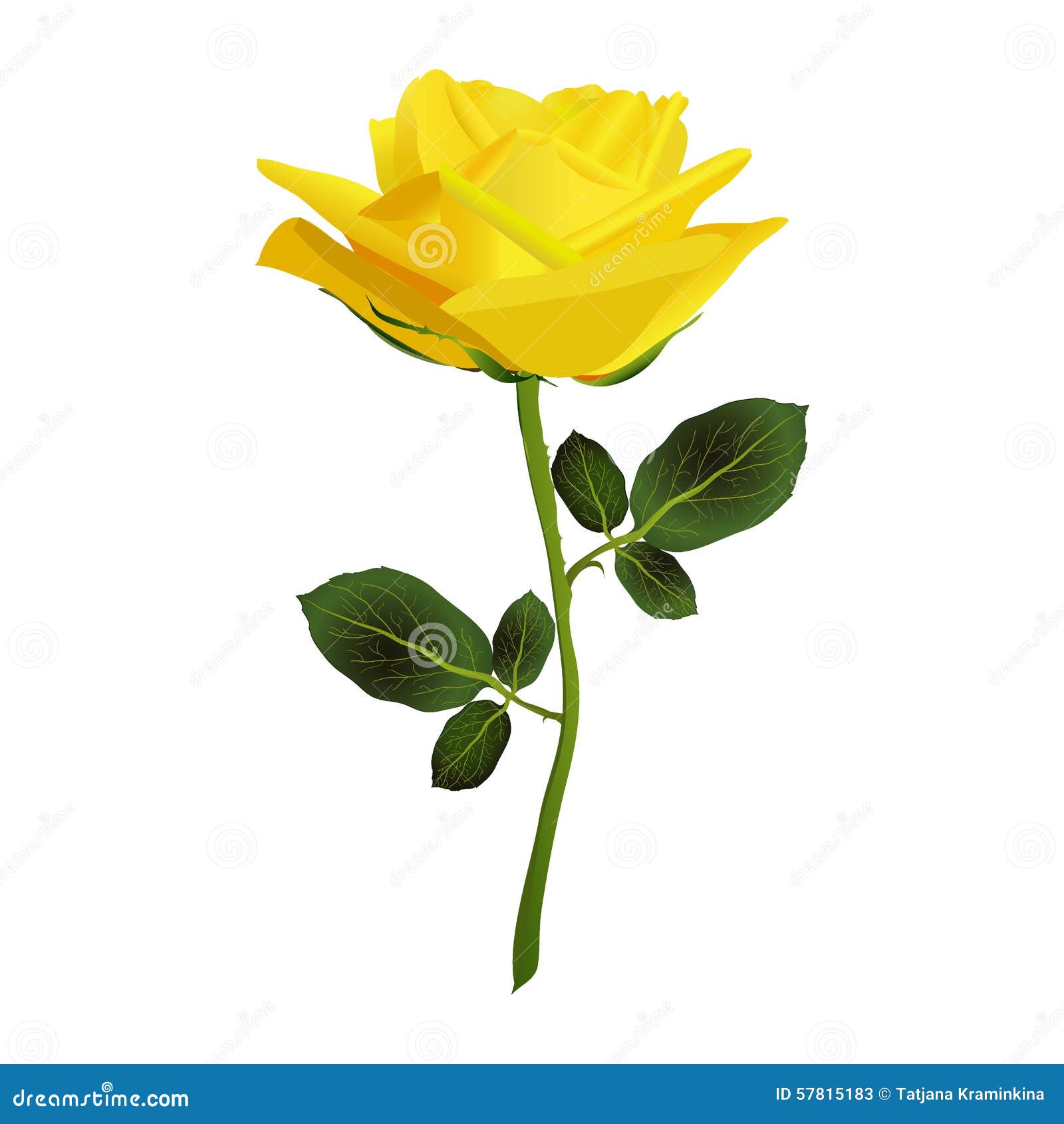 Single Yellow Roses Clipart