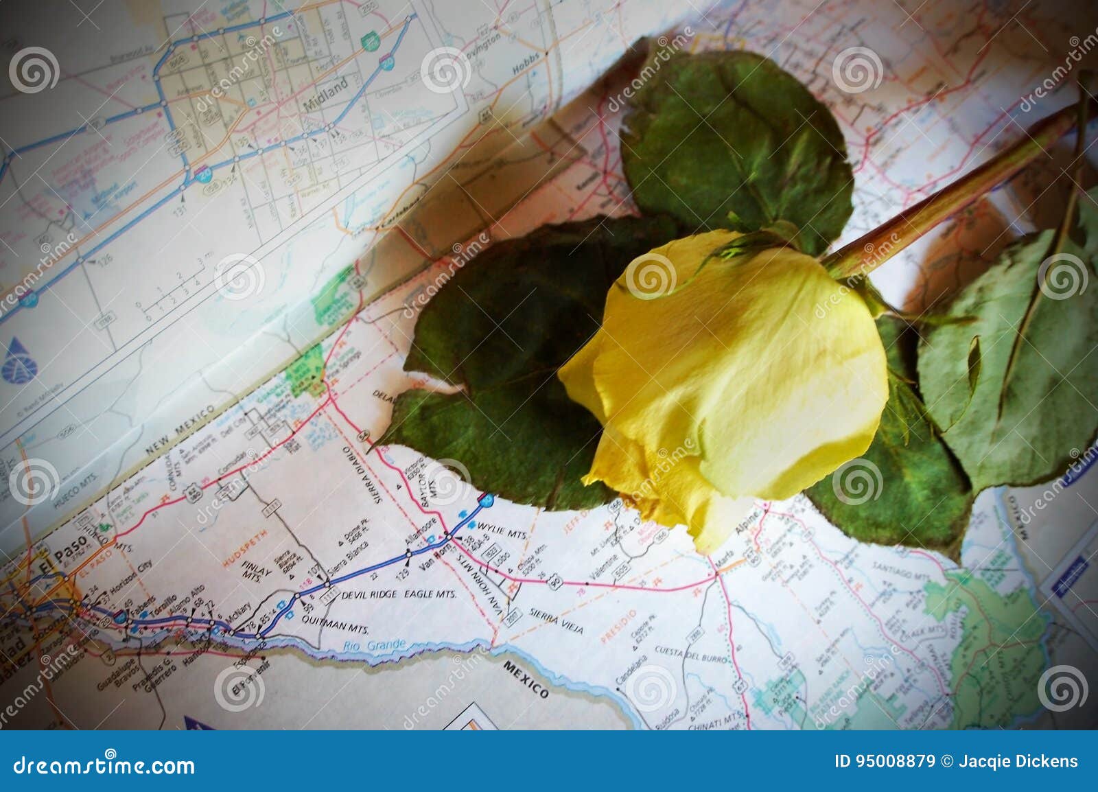 Yellow Rose of Texas stock image. Image of atlas, route - 95008879