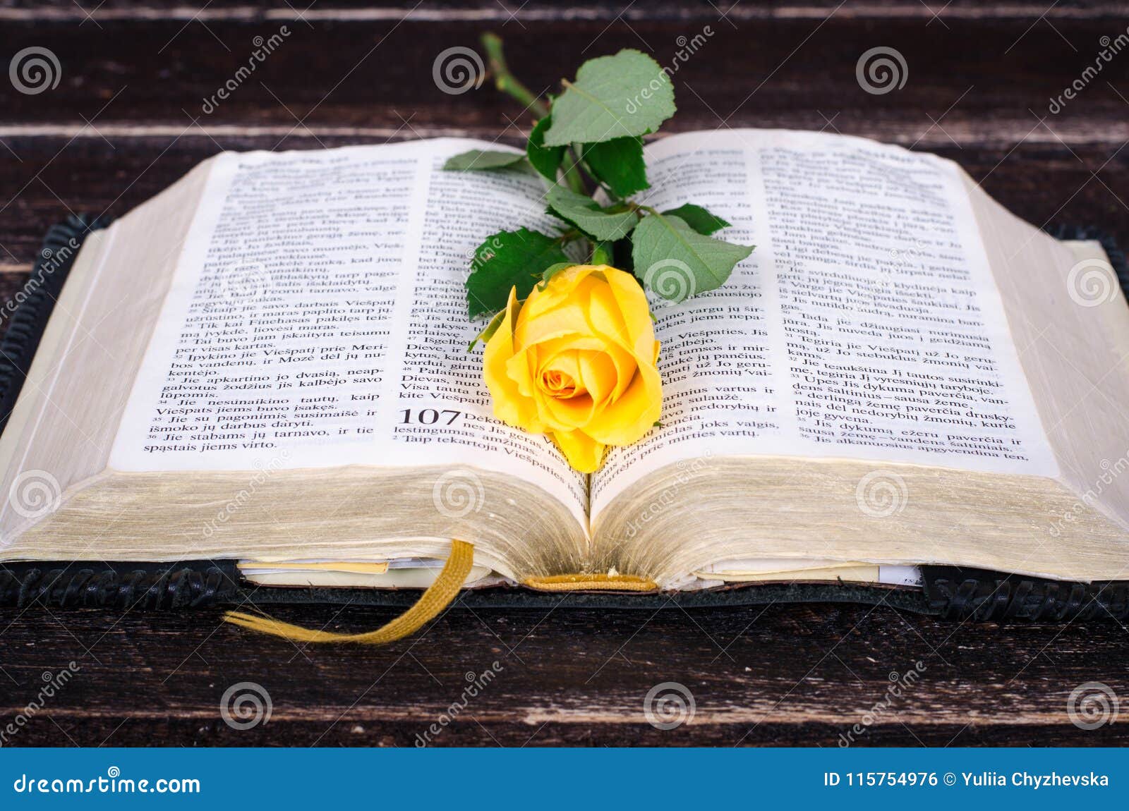 Yellow Rose on Top of an Old Bible. Stock Photo - Image of reading ...