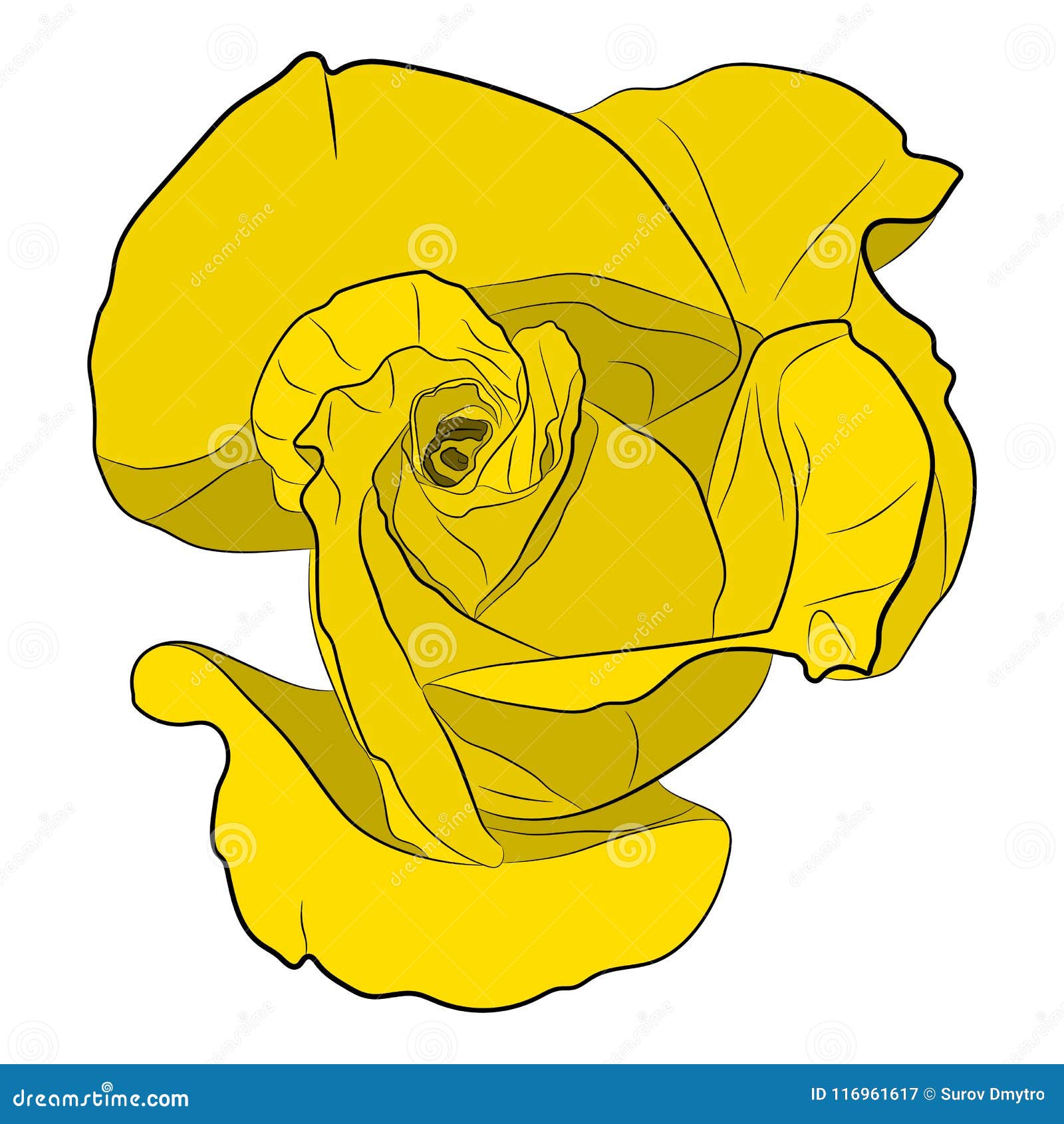 Yellow Rose Vector Drawing Illustration Stock Illustration ...