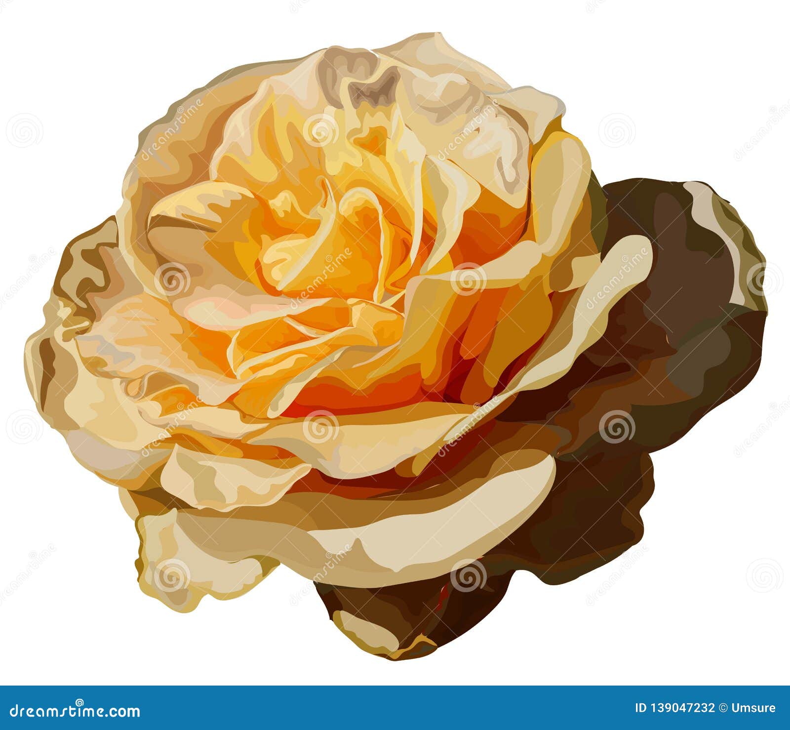 Yellow Rose Vector Illustration Stock Vector - Illustration of roses ...