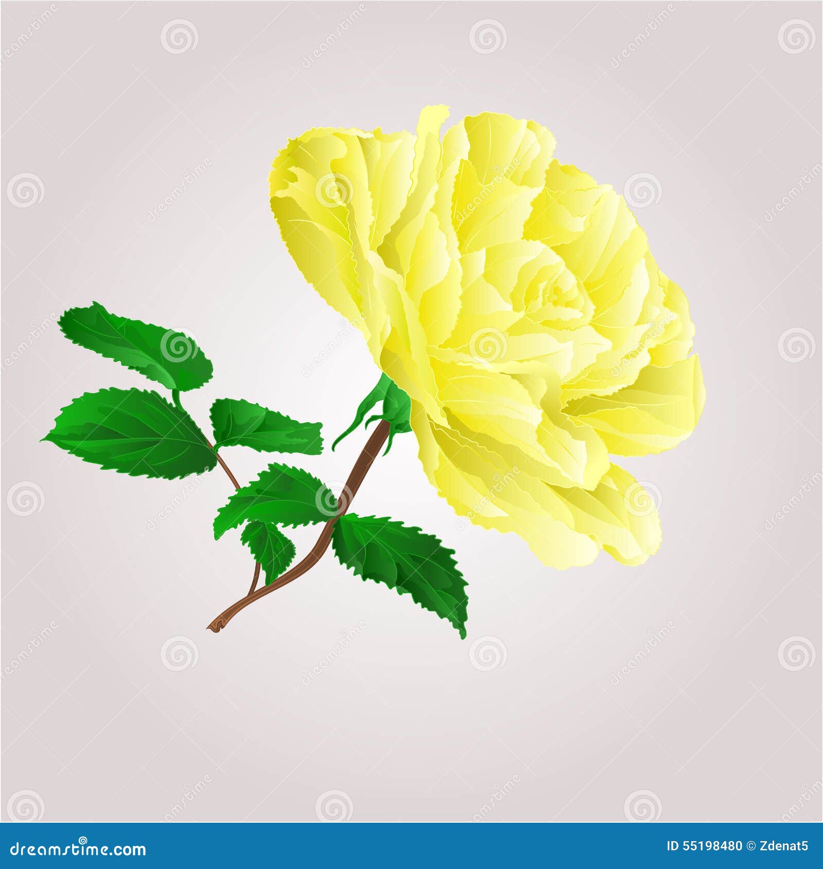 Yellow rose vector stock vector. Illustration of petal - 55198480
