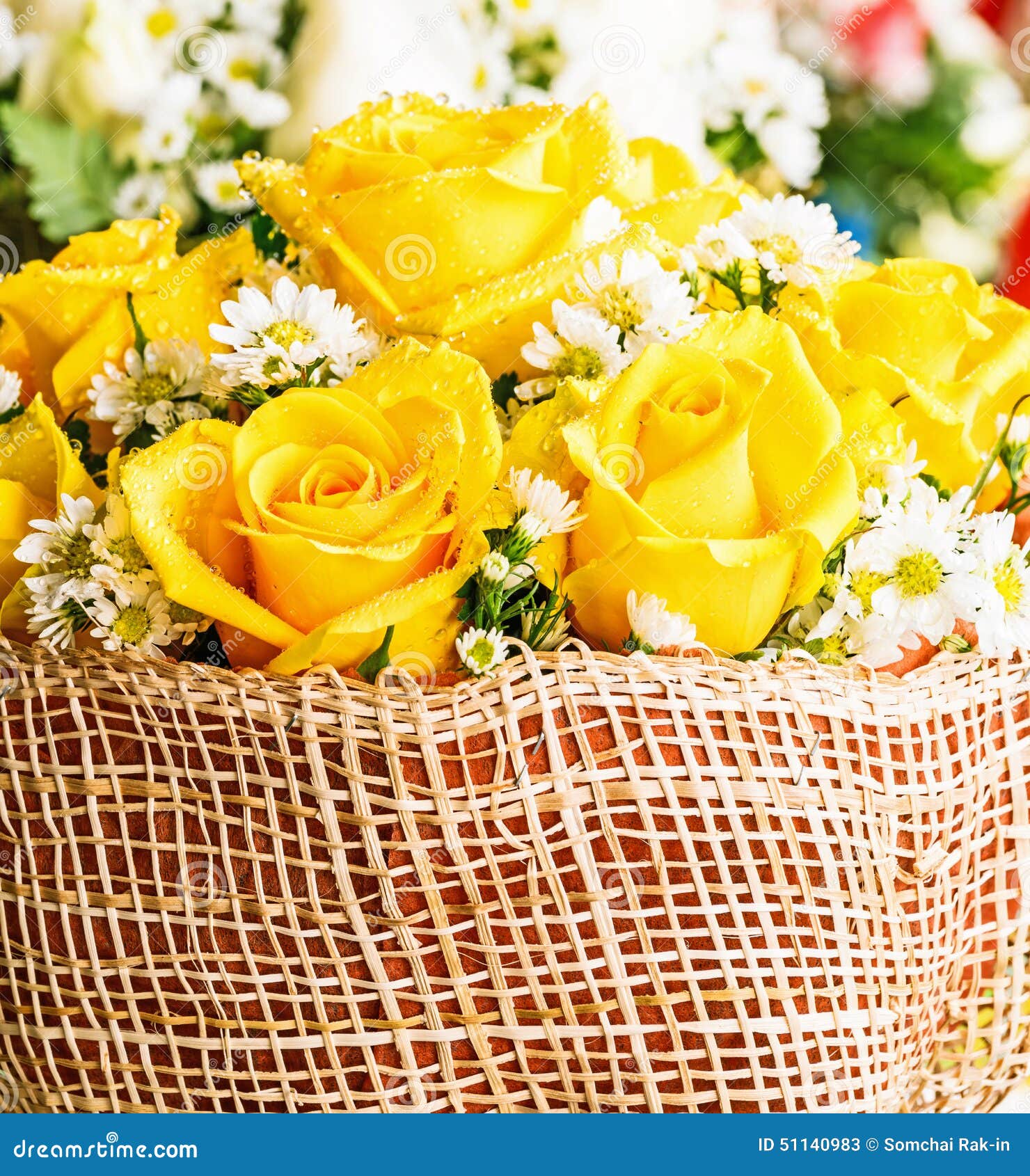 Yellow Rose with Water Drops. Stock Image - Image of bright, affection ...